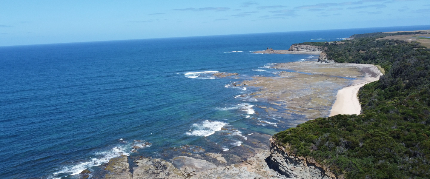 About - Bass Coast Dinosaurs